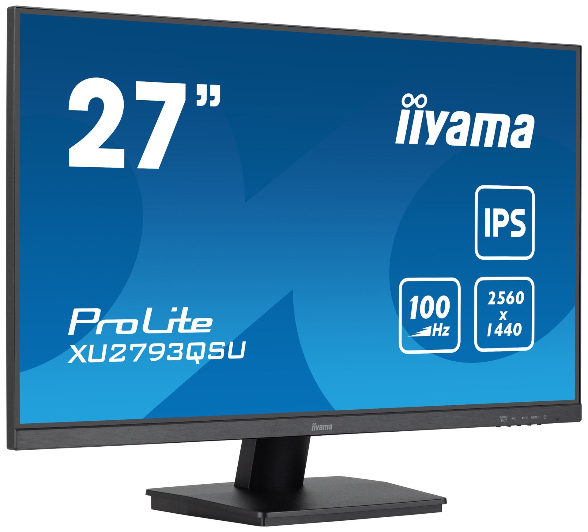 Cran Iiyama 27 Pouces